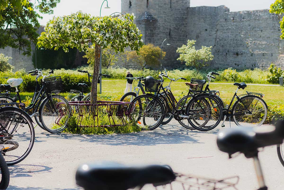 Äntligen går det åt rätt håll – Energicentrum Gotland